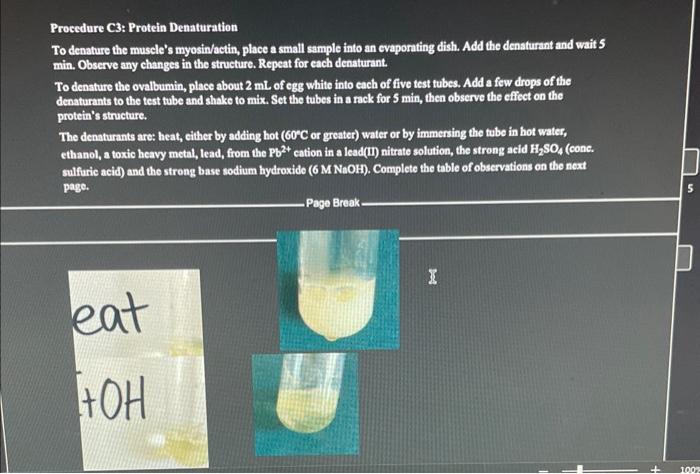Solved Procedure C: Denaturation of Natural Proteins A | Chegg.com