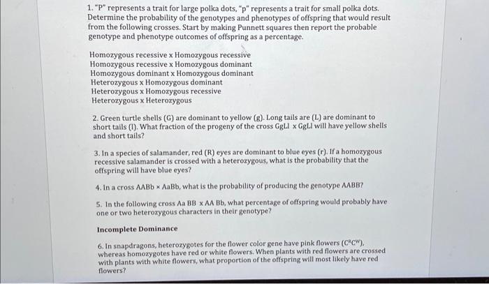 Solved Complete Dominance 1. ﻿P represents a trait for large | Chegg.com