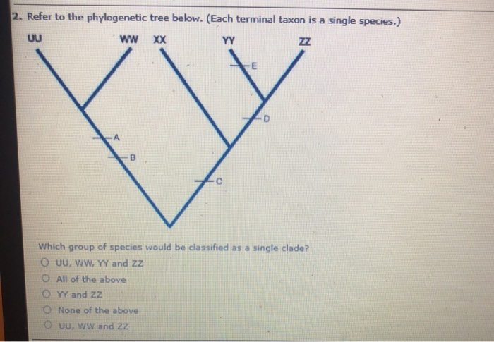 Solved 2. Refer to the phylogenetic tree below. (Each | Chegg.com