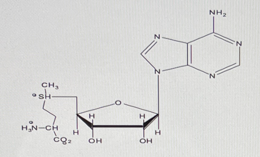Solved Name The Coenzymecofactor In The Picture And What 7770
