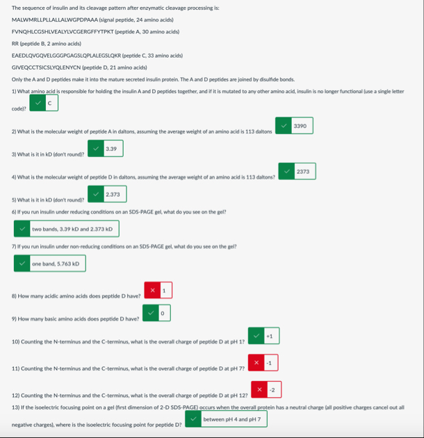 The sequence of insulin and its cleavage pattern | Chegg.com