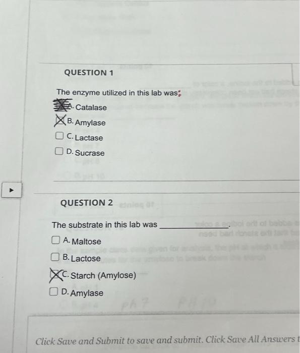 Solved The enzyme utilized in this lab was: Catalase 3. | Chegg.com