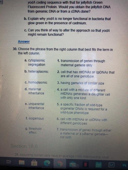 Solved yodA coding sequence with that for jellyfish Green | Chegg.com