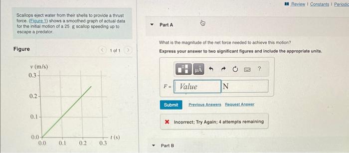 Solved Scallops eject water from their shells to provide a | Chegg.com