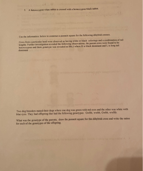 Solved Punnett square problems continued Complete the | Chegg.com