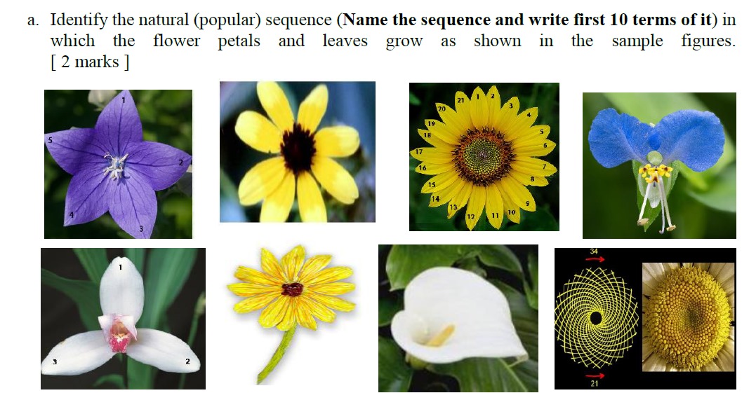 Solved a. ﻿Identify the natural (popular) ﻿sequence (Name | Chegg.com