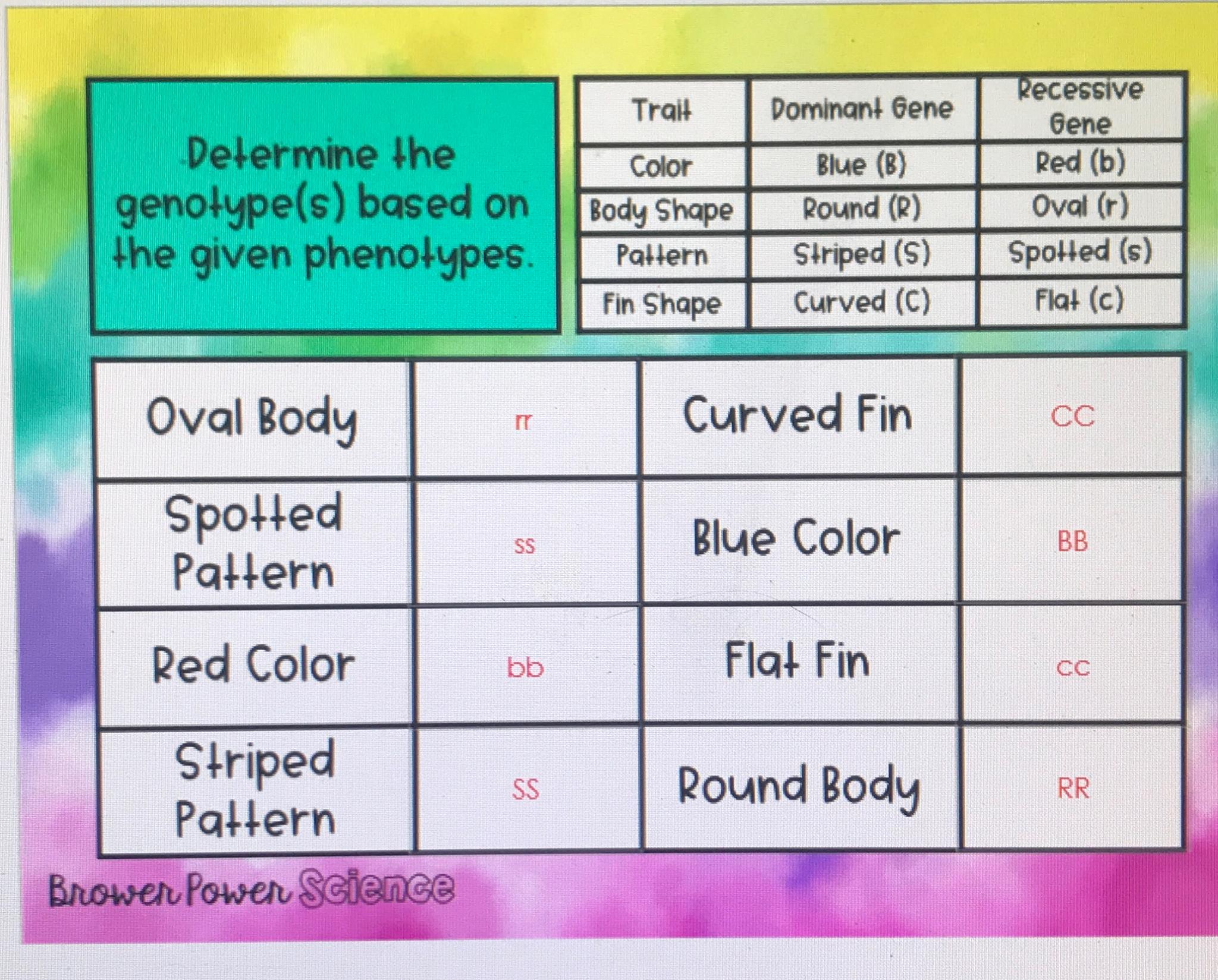 Solved Determine the genotype(s) ﻿based on the given | Chegg.com