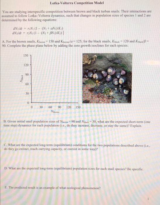 Solved Lotka-Volterra Competition Model You are studying | Chegg.com
