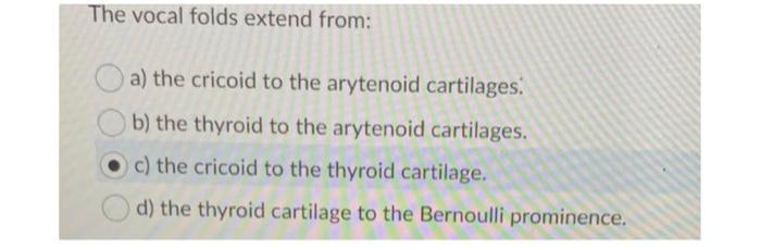 Solved Types of sound sources for speech production in | Chegg.com