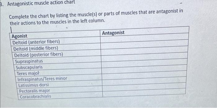 Solved 3. Antagonistic muscle action chart Complete the | Chegg.com