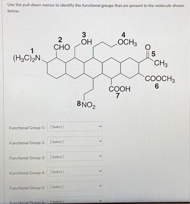 Solved URGENT!! PLEASE HELP IDENTIFY THE FUNCTIONAL GROUPS | Chegg.com