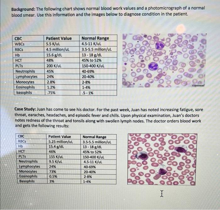 Solved Background: The following chart shows normal blood | Chegg.com