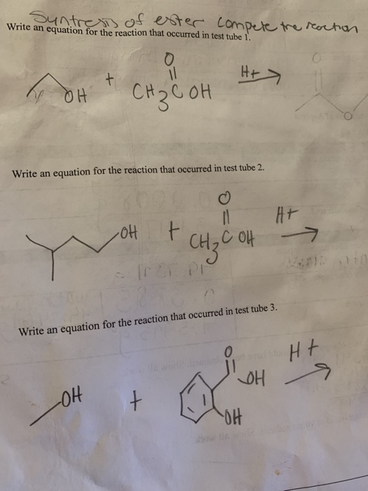 Solved Suntrest of exter compete the roution Write an | Chegg.com