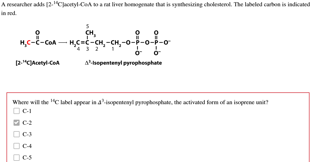 Solved A researcher adds 2-?14C ﻿acetyl-CoA to ﻿a rat liver | Chegg.com