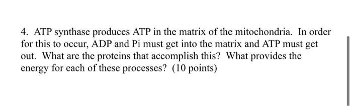 Solved 4. ATP synthase produces ATP in the matrix of the | Chegg.com
