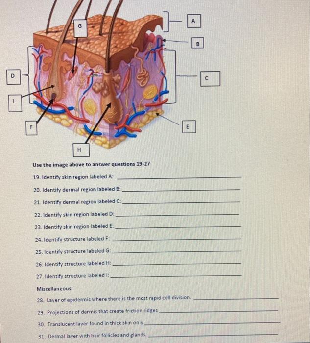Solved m Use the image above to answer questions 19-27 19. | Chegg.com