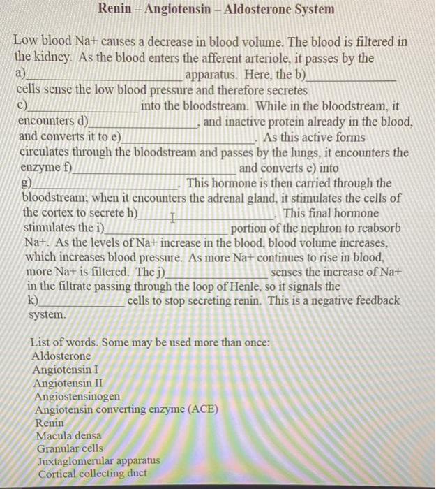 Solved Renin - Angiotensin - Aldosterone System Low blood | Chegg.com