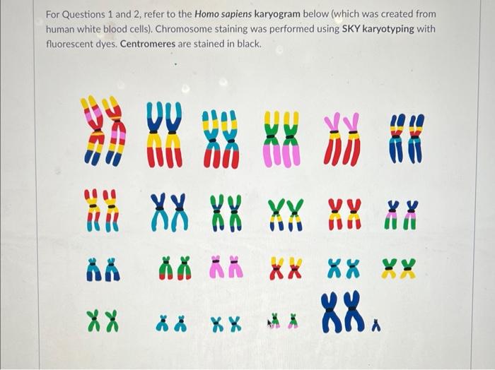 Solved xx KR xx×8X1How did scientists create this karyogram | Chegg.com