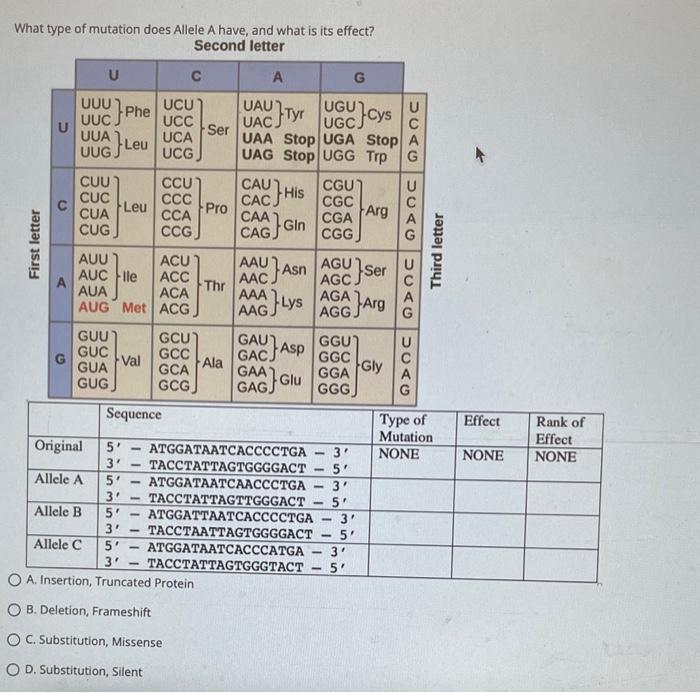 Solved What type of mutation does Allele A have, and what is | Chegg.com