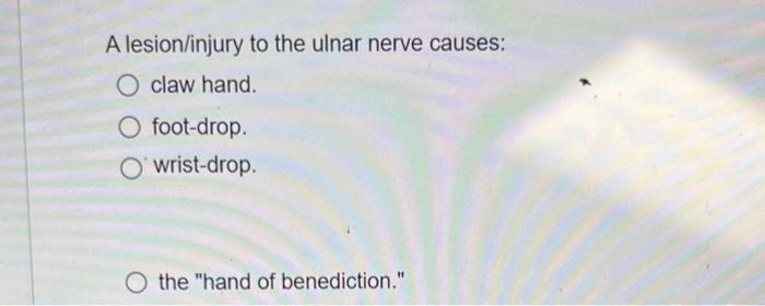 Solved A lesion/injury to the ulnar nerve causes: claw hand. | Chegg.com