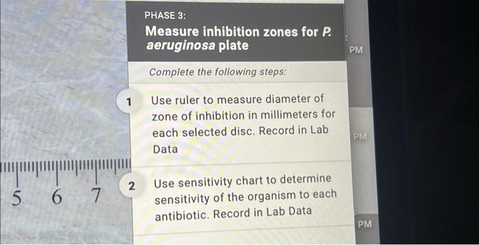 Lab DataMeasure inhibition zones for P. aeruginosa | Chegg.com