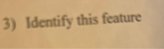 3) Identify this feature | Chegg.com