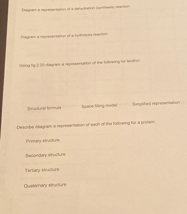 Solved Diagram a representation of a dehydration (synthesis) | Chegg.com