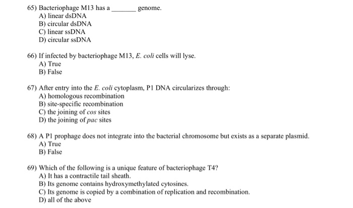 Solved genome. 65) Bacteriophage M13 has a A) linear dsDNA | Chegg.com