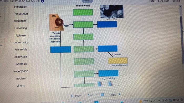 Solved drag and drop the labels into the correct empty boxes | Chegg.com