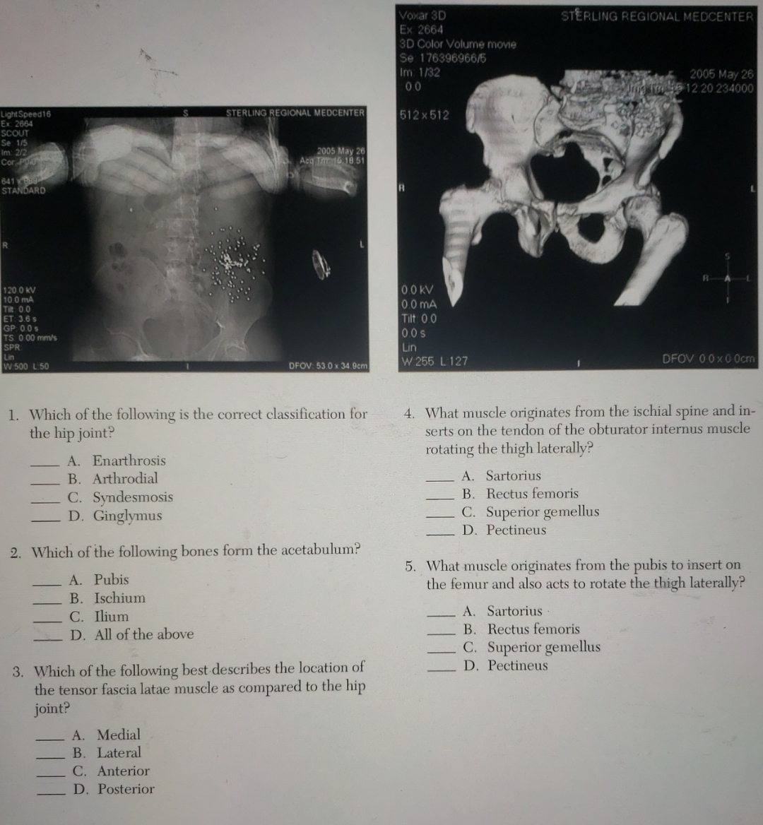 Solved Which of the following is the correct classification | Chegg.com