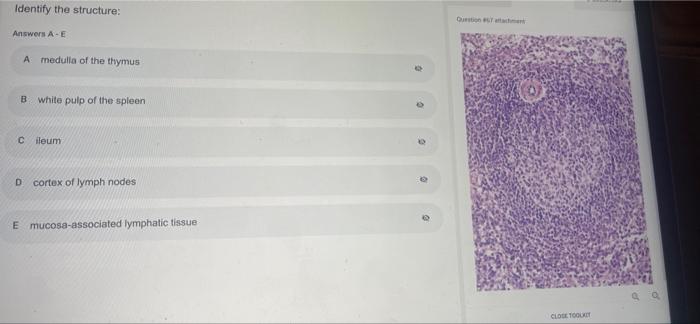 Solved A PhD student received an unidentified tissue sample | Chegg.com