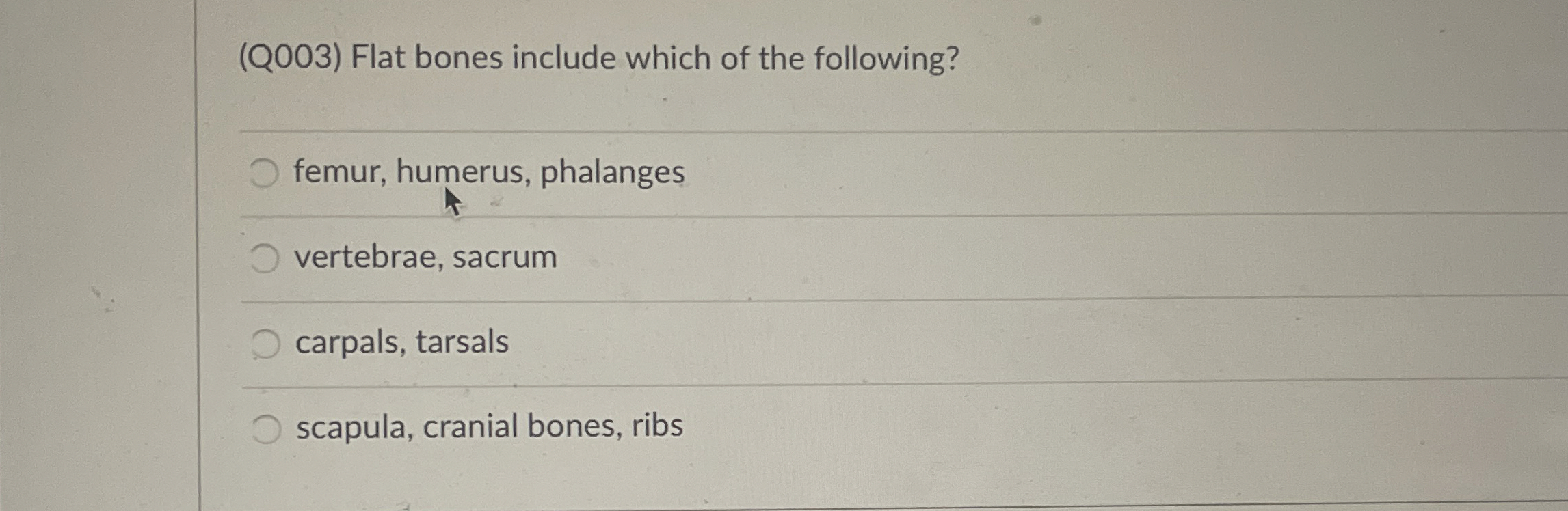 Solved (Q003) ﻿Flat bones include which of the | Chegg.com