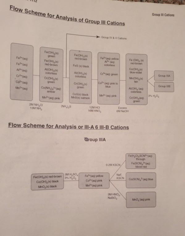 Solved write a summary summarizing the group iii cations | Chegg.com