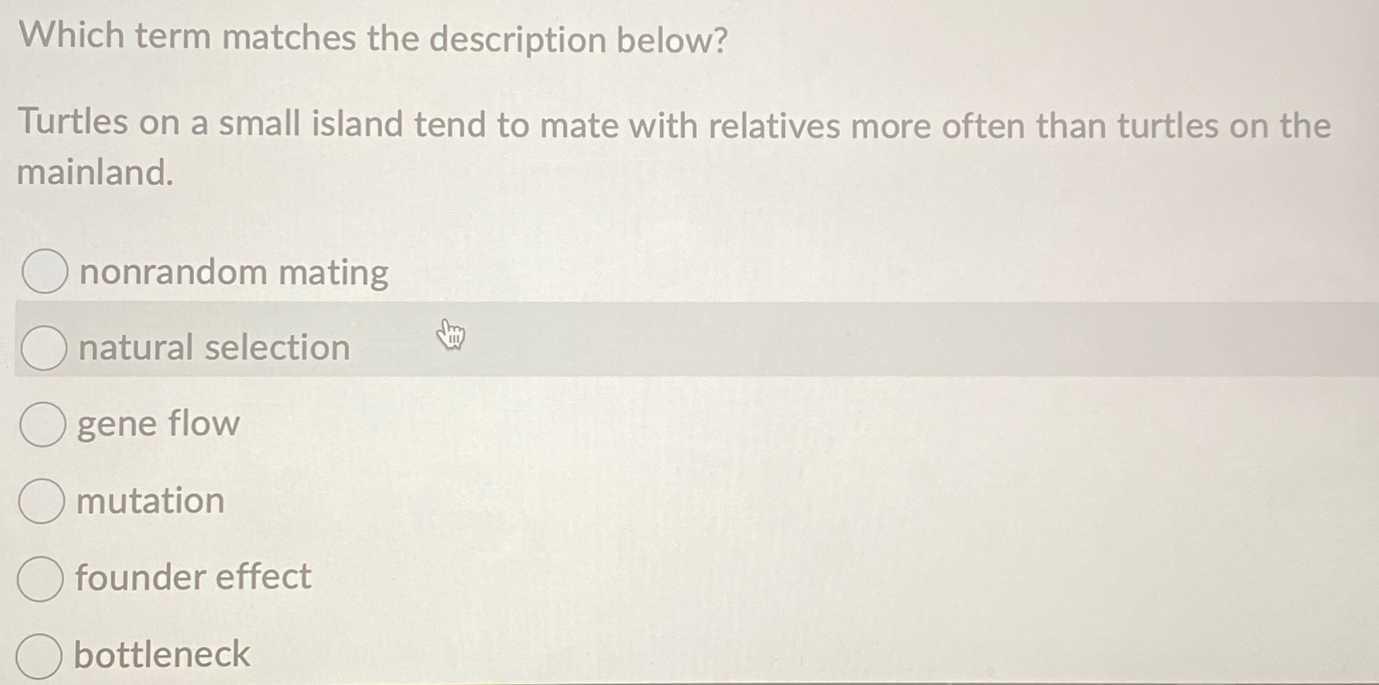 Solved Which term matches the description below?Turtles on a | Chegg.com