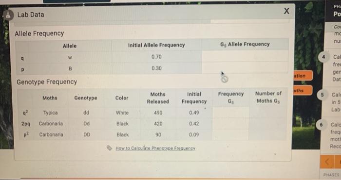 Natural Selection Natural Selection In Insects