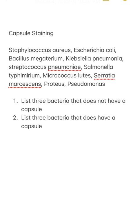 Solved Capsule Staining Staphylococcus aureus, Escherichia | Chegg.com