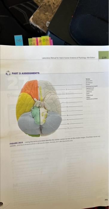 Solved PART D ASSESSMENTS | Chegg.com Solved PART D ASSESSMENTS | Chegg.com