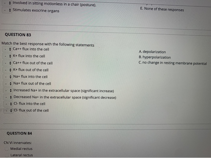 Solved Involved in sitting motionless in a chair (posture). | Chegg.com