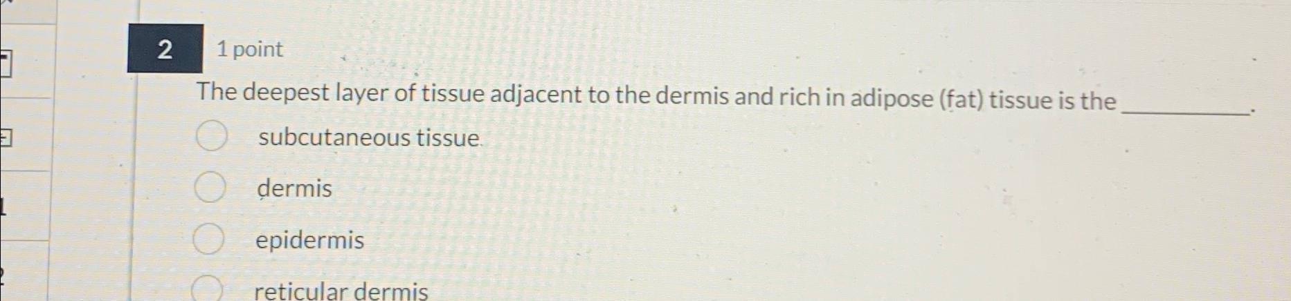 Solved 21 ﻿pointThe deepest layer of tissue adjacent to the | Chegg.com
