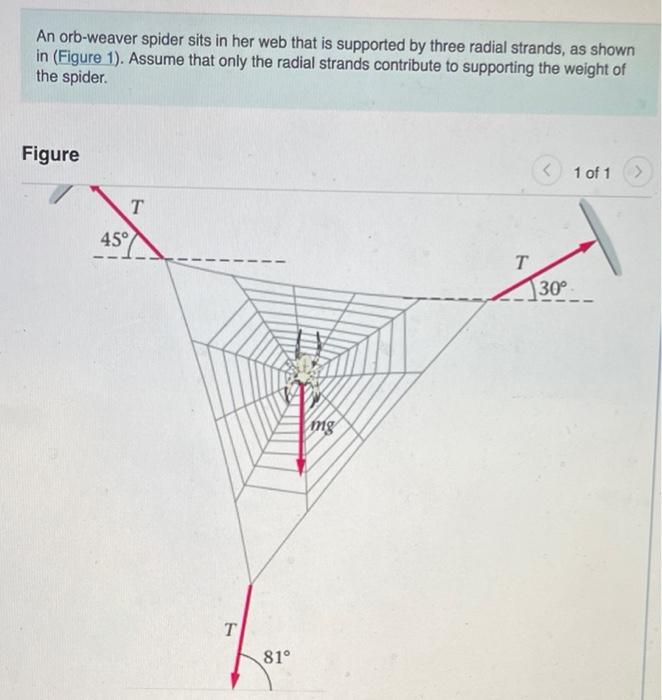 Solved An orb-weaver spider sits in her web that is | Chegg.com