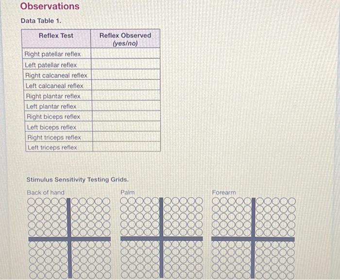 Solved Observations Data Table 1. Reflex Test Right patellar | Chegg.com