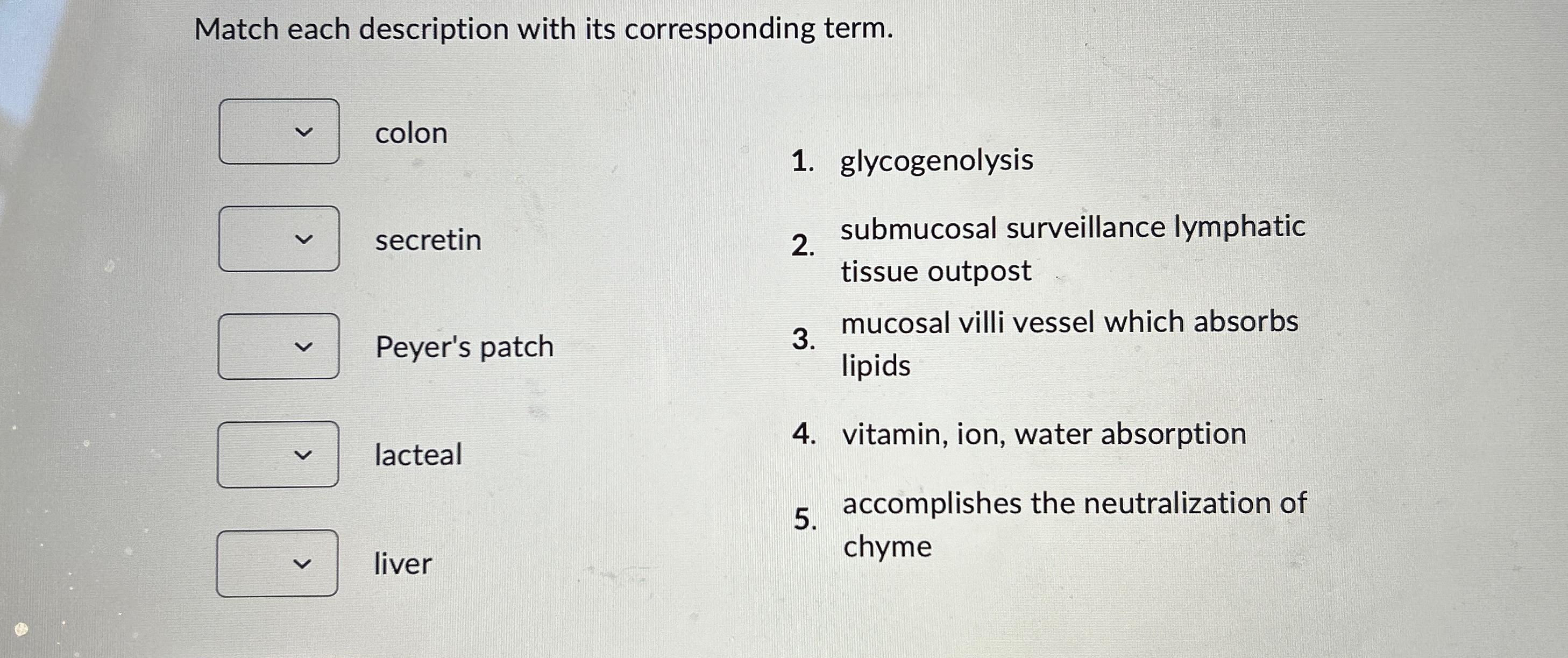 Solved Match each description with its corresponding | Chegg.com