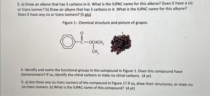 3. a) Draw an alkene that has 5 carbons in it. What | Chegg.com