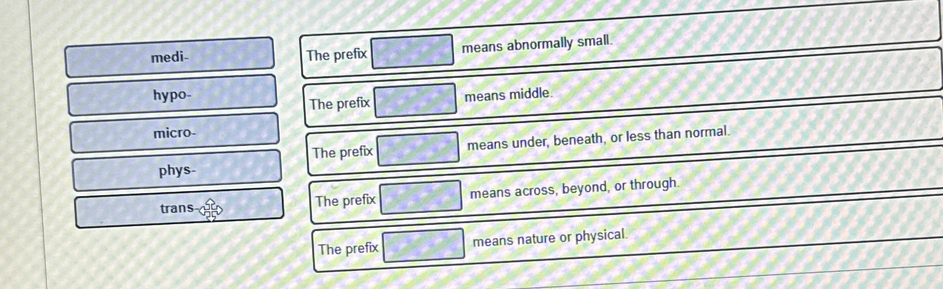 Solved medi-hypo-micro-phys-trans-The prefix , ﻿means | Chegg.com