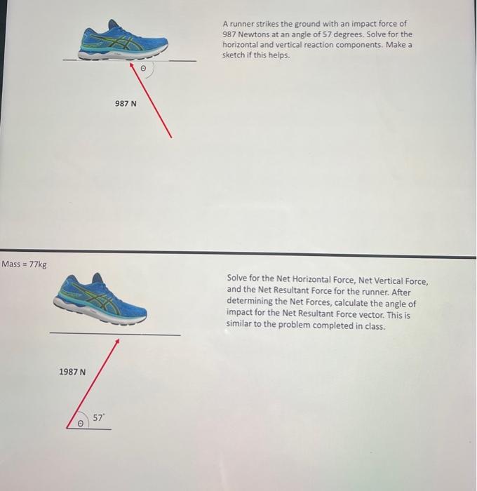 Solved A runner strikes the ground with an impact force of | Chegg.com