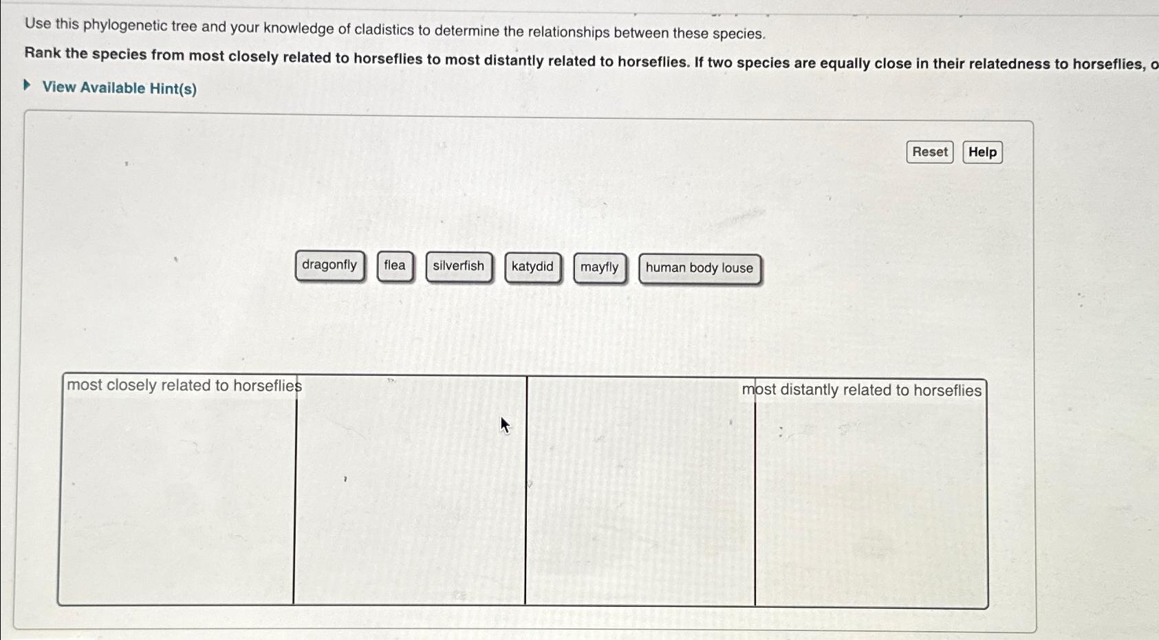 Solved Use this phylogenetic tree and your knowledge of | Chegg.com