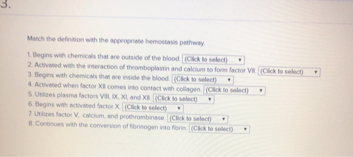 Solved Classify the following statements and characteristics | Chegg.com