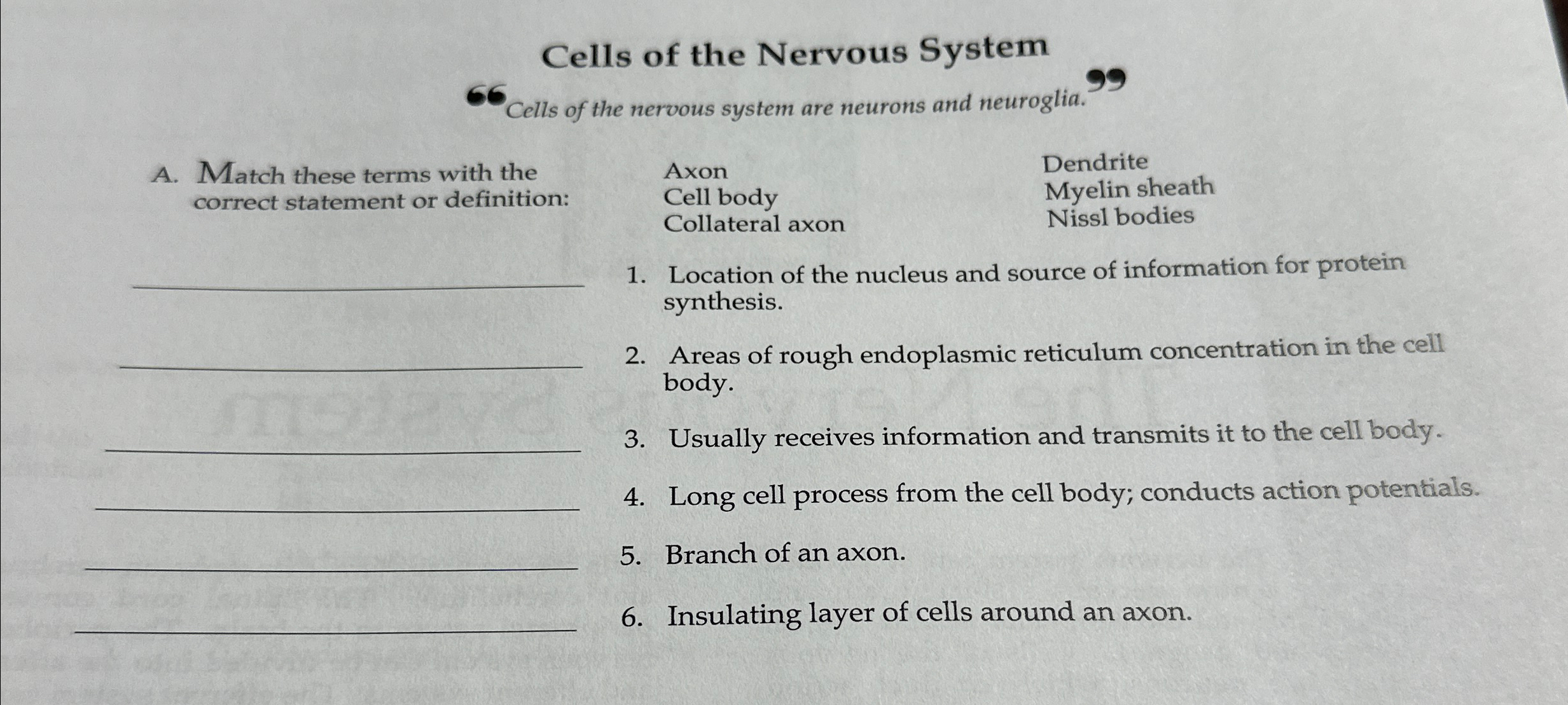 Solved Cells of the Nervous SystemCells of the nervous | Chegg.com