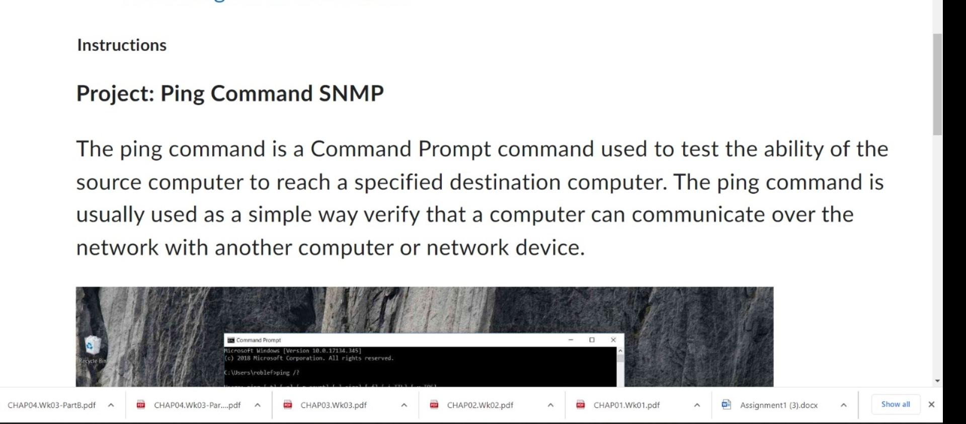 Solved Instructions Project: Ping Command SNMP The ping | Chegg.com