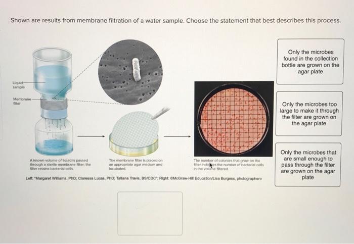 Solved Shown are results from membrane filtration of a water | Chegg.com